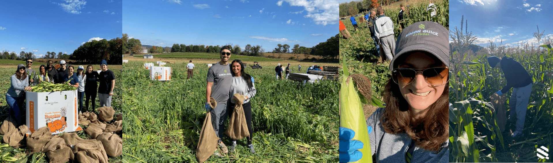 Year-End Newsletter 2024 | Simon Quick Advisors